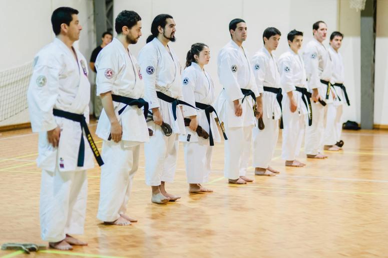 SEISHINKAN BUDŌ SCHOOL, 30th ANNIVERSARY: Research & Historical ...