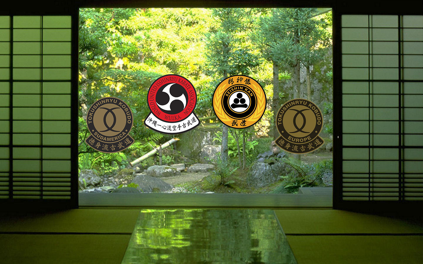 TOKUSHINRYU & WUIKA EUROPE SOUTH AMERICA – CHILE TOUR 2018 – 2019 ...